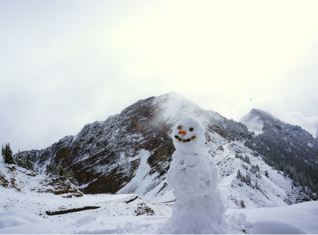 Fernie Alpine Resort