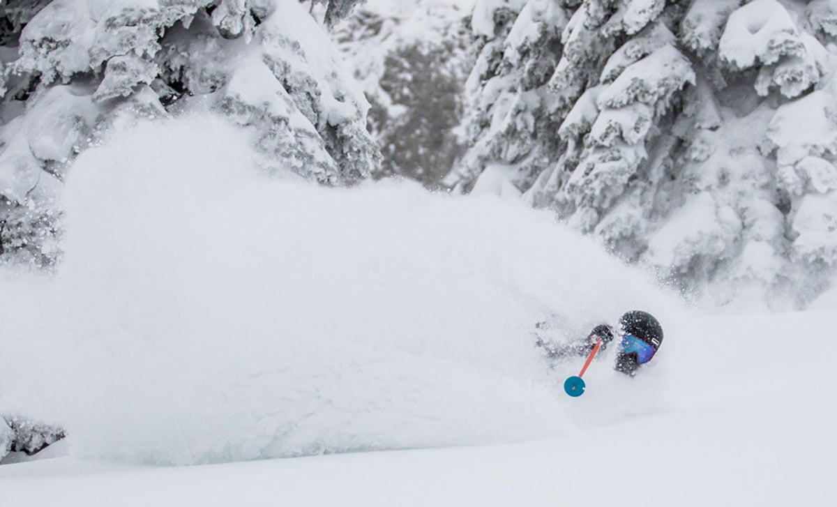Fernie Alpine Resort