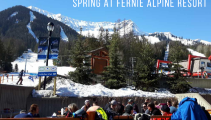 Mountain Cam – Fernie Alpine Resort