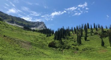 Fernie Alpine Resort